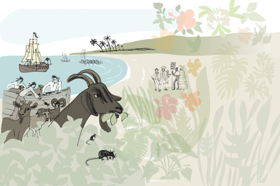 When animals sound a warning