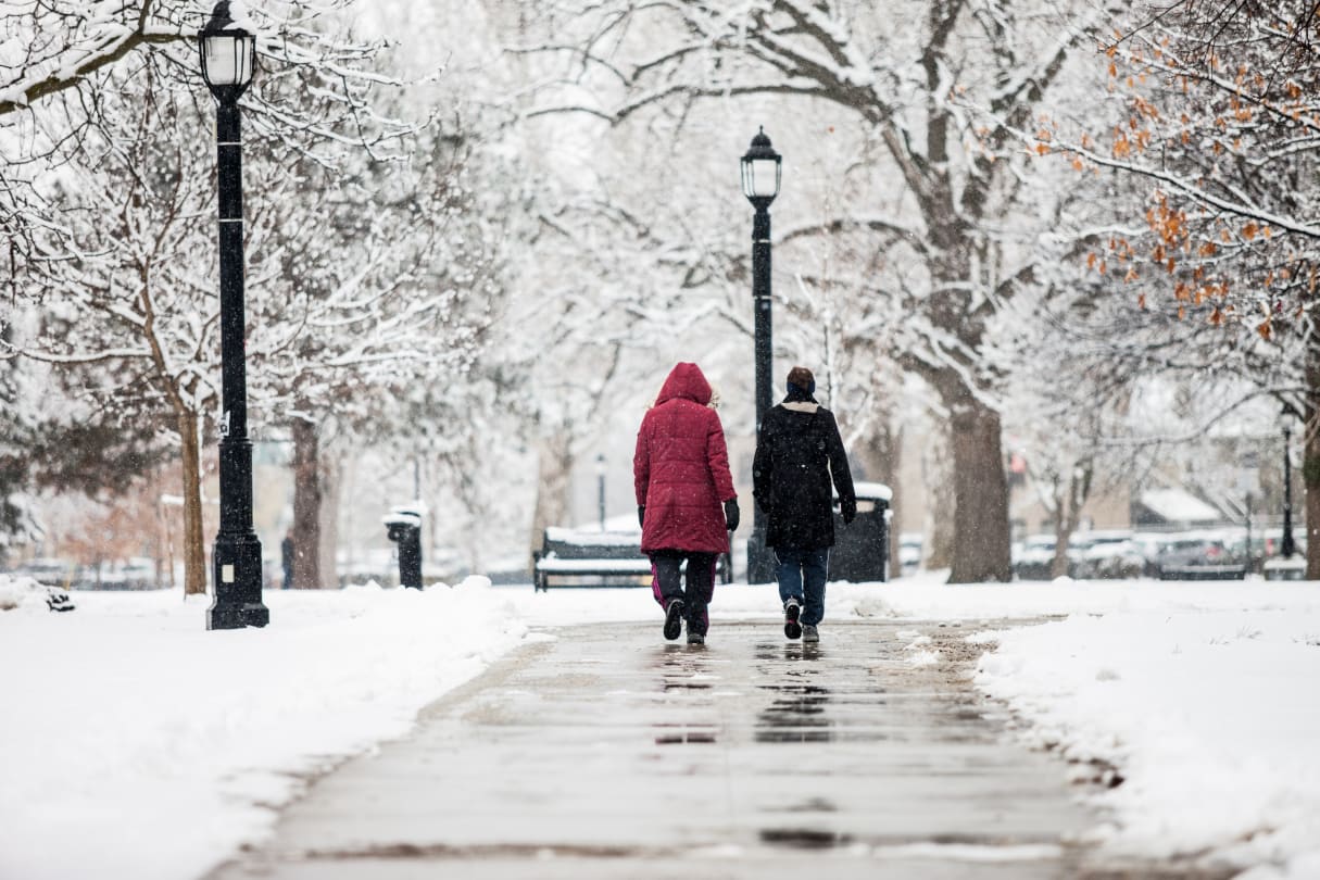 Compression Fractures, Strains, and Falls: How To Prevent Winter Back ...