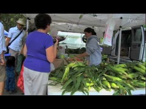 Big Food: Health, Culture and the Evolution of Eating | Yale School of ...