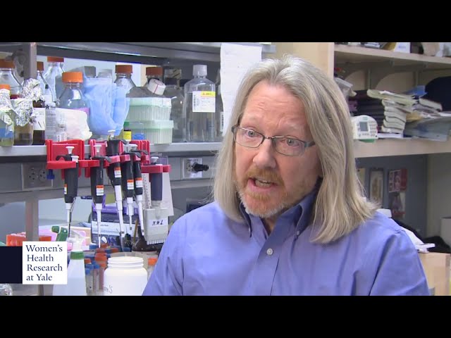 Impact of Pilot Project Program Studies | Yale School of Medicine