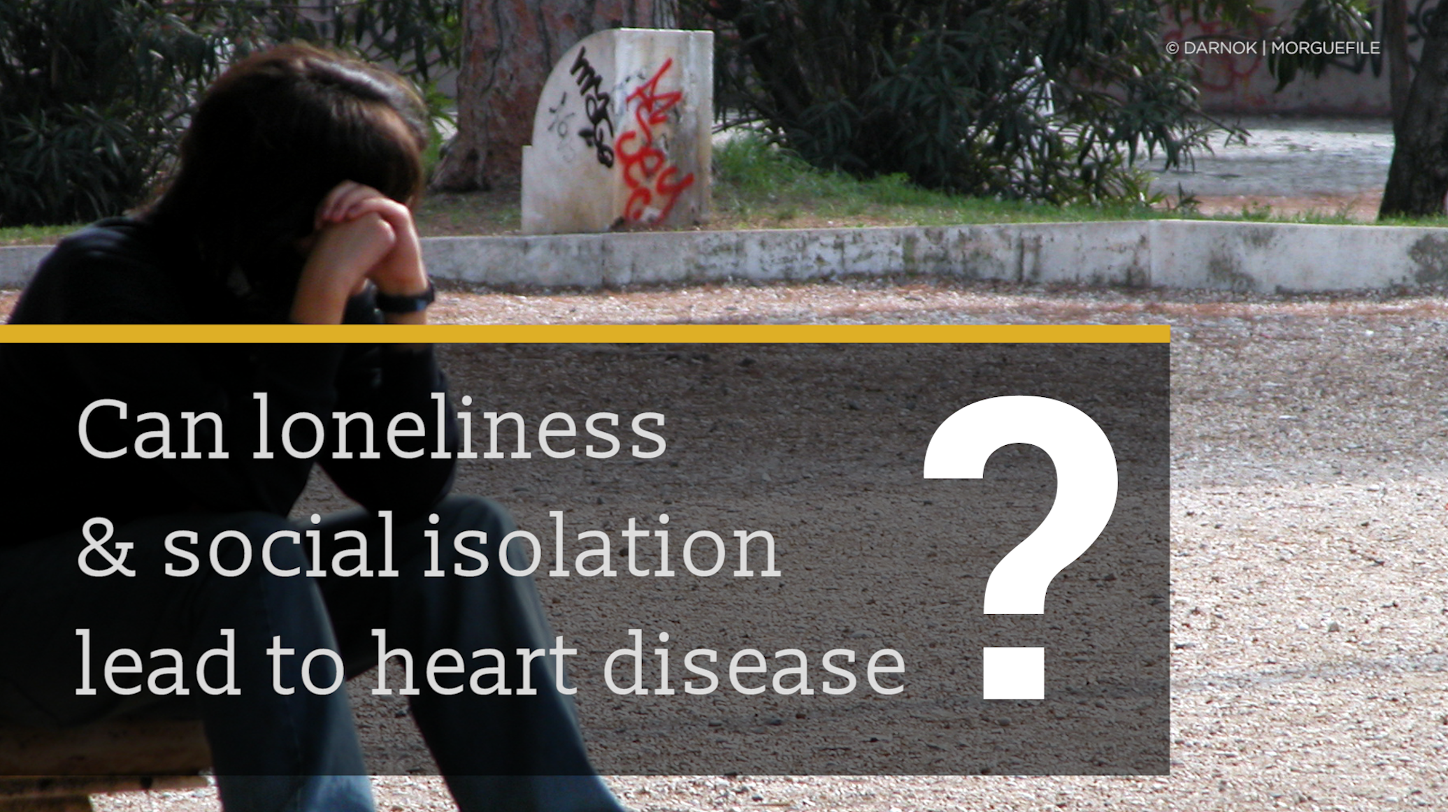 Loneliness and Heart Health | Yale School of Medicine