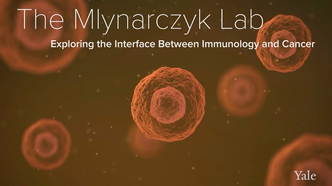 Immunology, Cancer, & Cell Metabolism - The Mlynarczyk Lab at Yale ...