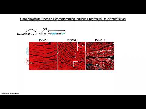 VBT/CVRC Seminar Series speaker Johnny Kim 10.25.2022 | Yale School of ...