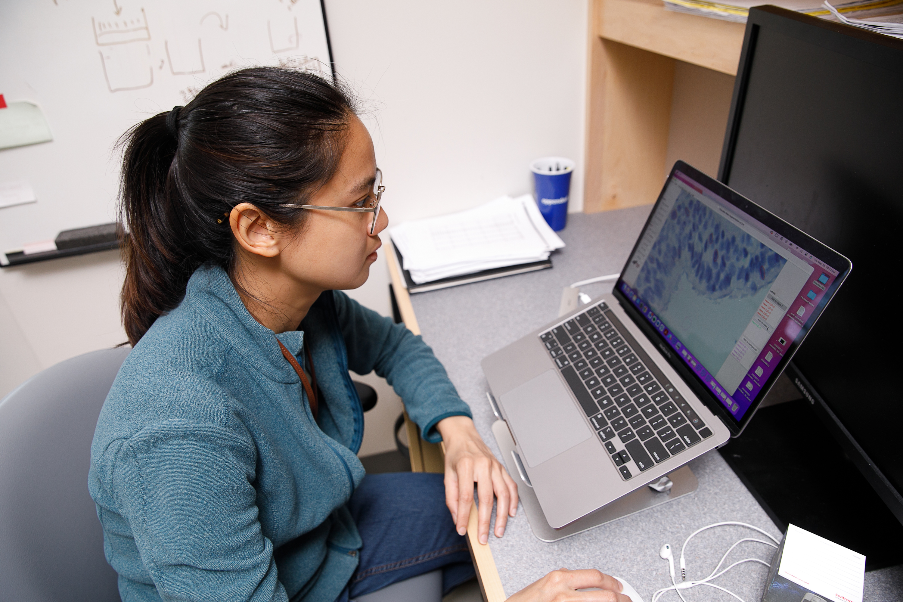 Photos | Foxman Lab