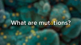 How Viral Mutations Occur in SARS-CoV-2 > News > Yale Medicine