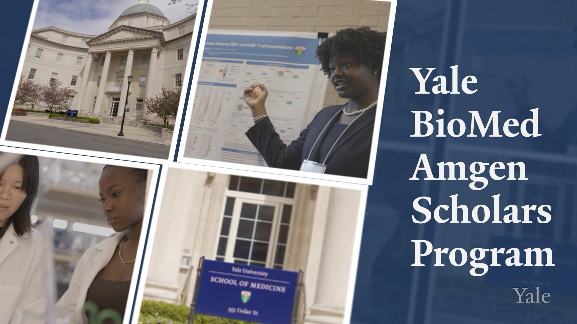 Yale BioMed Amgen Scholars Program | Yale School of Medicine