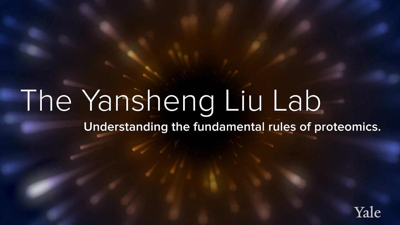 The Yansheng Liu Lab at Yale School of Medicine | Yale School of Medicine