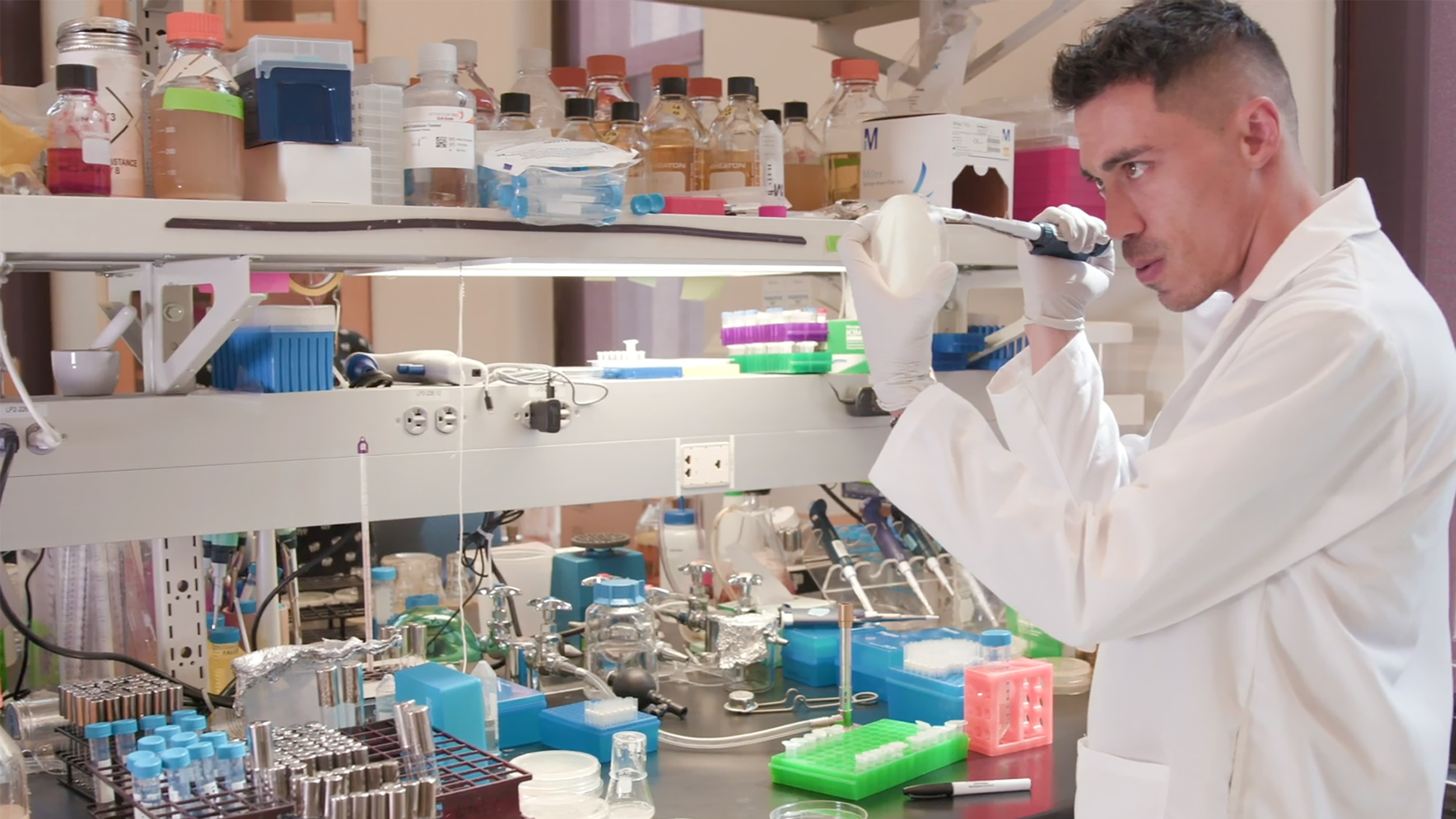 How Phage Therapy Kills Superbugs: Weaponizing Viruses to Fight ...